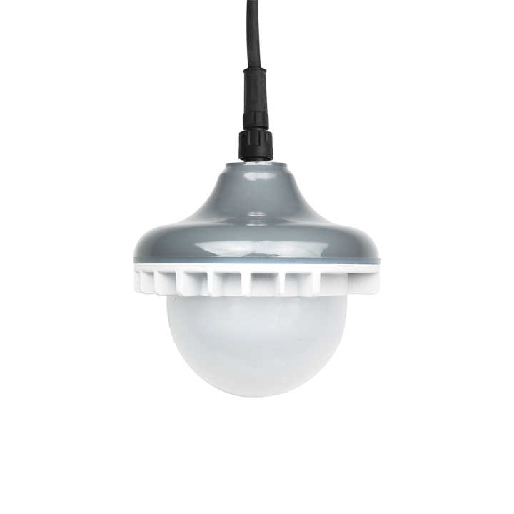 Blue and White Flicker-Free LED Bulb Dimmer Poultry Lights