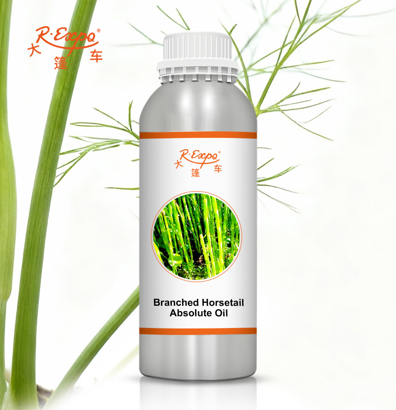 How to Choose the Best Horsetail Oil: A Complete Buyer's Guide