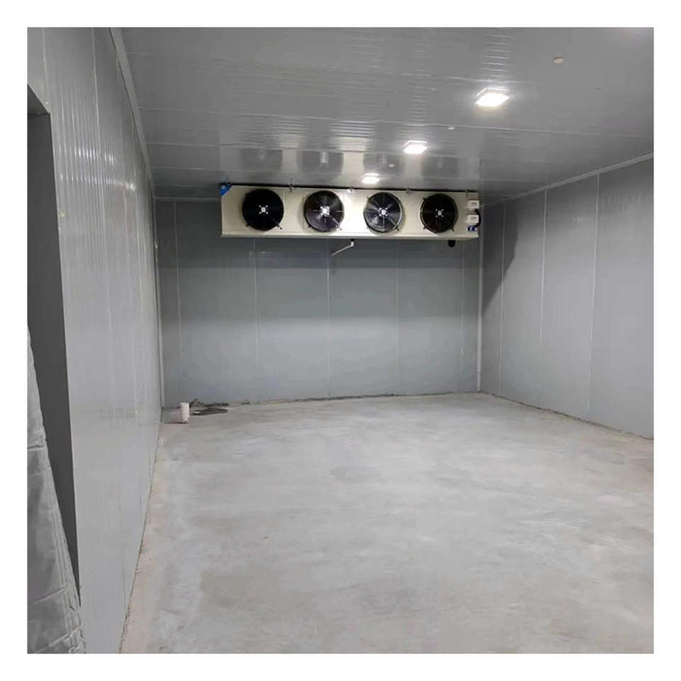 Walk-in Cold Room / Modular Refrigeration System for Commercial Use ...
