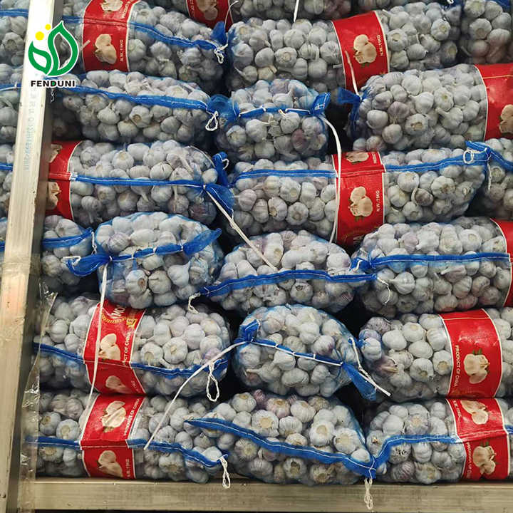 Natural White Garlic Ajos Fresh Garlic Delicious 10kg Mesh Bag Garlic ...