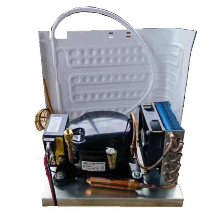 BD25H Micro Refrigerant Condensing Unit for Refrigerators & Freezers - OEM