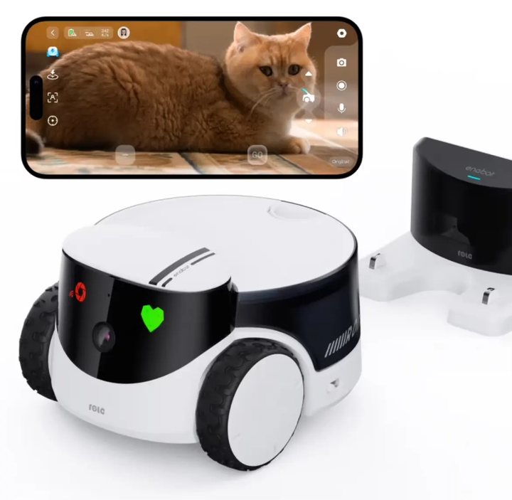 Rola Companion Robot Cat Camera Toy Treat Dispenser Smart Fishing ...