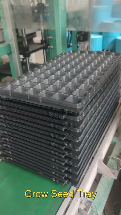 Durable 200-Hole Plastic Nursery Seedling Trays & Lids for Efficient ...
