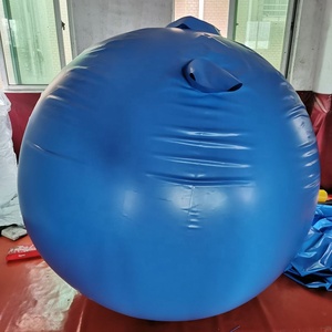 PVC Blueberry Inflation Suits - Fun & Customizable