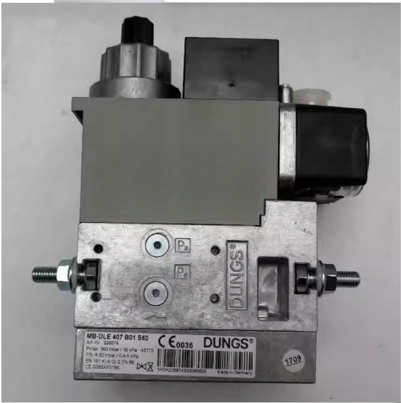 Original Dungs Valve MBDLE407 DN80 500mbar Slow Opening/Fast Closing ...