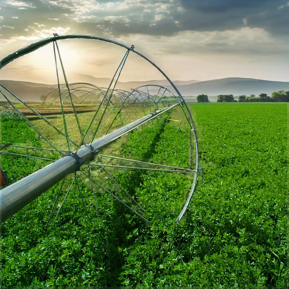 2025 Hot New Models High Efficiency Side Roll Irrigation System for ...