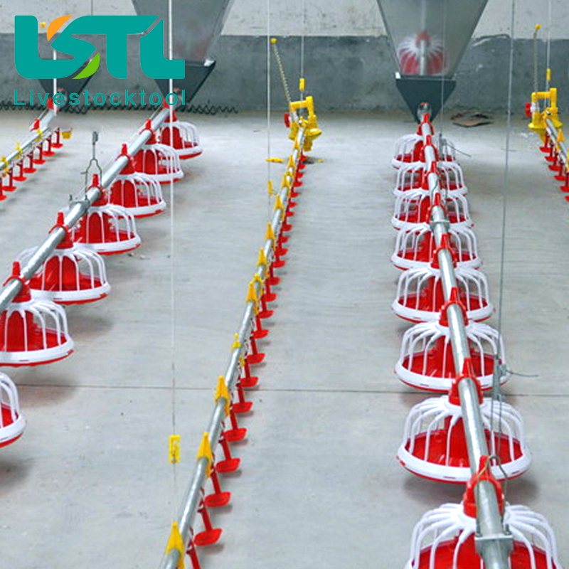 High Efficiency Poultry Feeding Systems for Broiler Farms