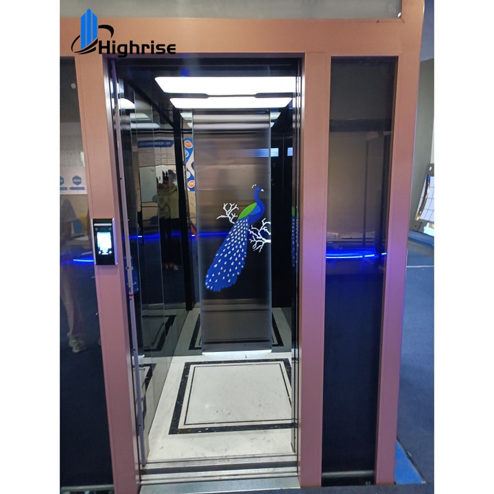 Glass Home Elevator for Masonry Shaft/6 Person Passenger Elevator Lift ...