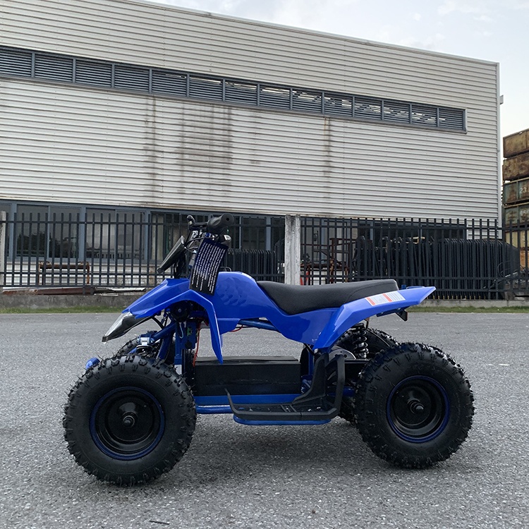 High Performance Beach Buggies - Fun & Thrill!