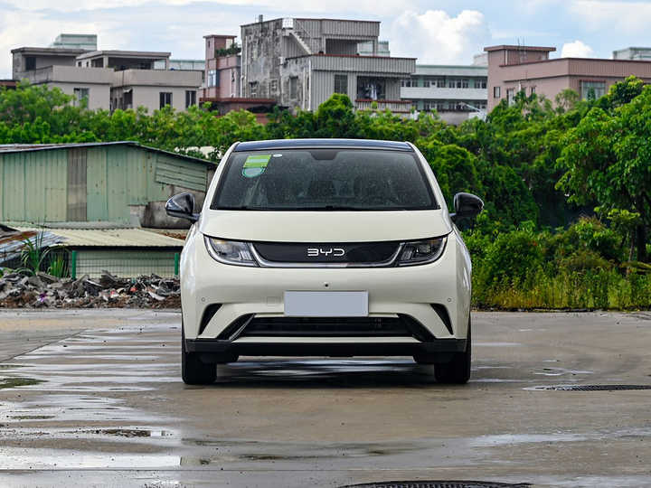 BYD Dolphin 2025 Smart Driving Edition 520km New Energy Vehicle Cheap ...