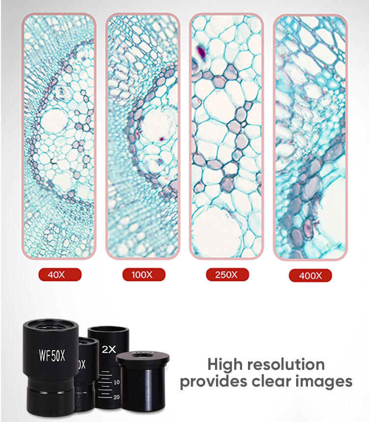 Custom Binocular Laboratory Microscope Adjustable Biological Stereo ...