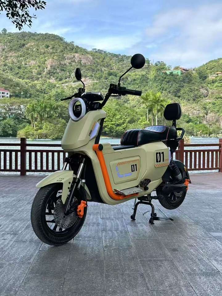 Hot Sales Fashion U2 DA NIU Electric Motorcycle - High Speed Scooter
