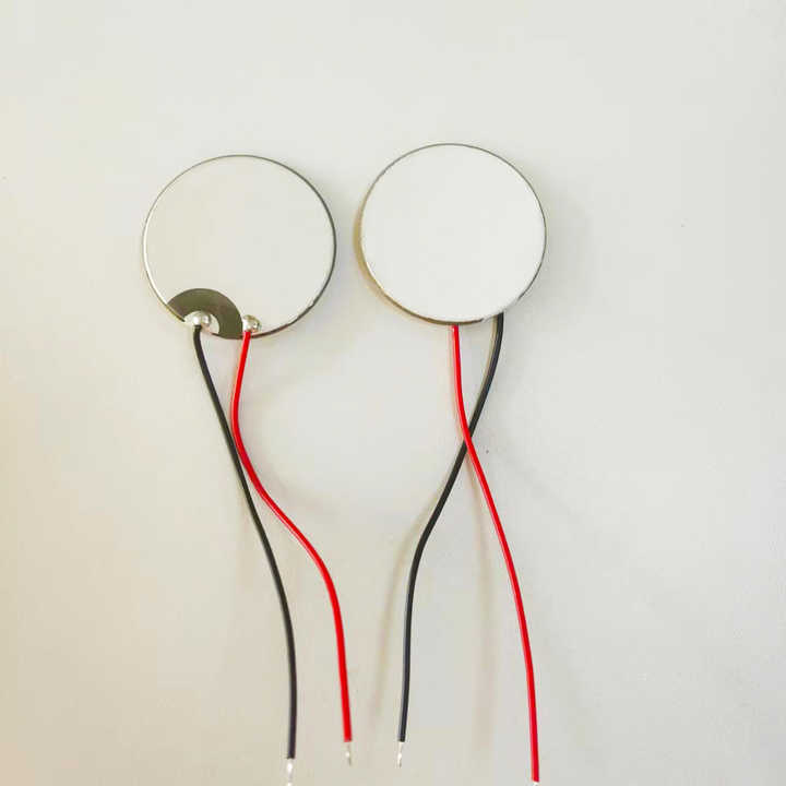 ISSR PZT4 Pzt-5a / 5h PZT-8 3 Mhz 1mhz Piezo Ceramic Disks