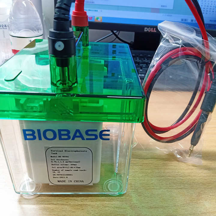 BIOBASE Portable Vertical Electrophoresis Tank Gel Electrophoresis ...