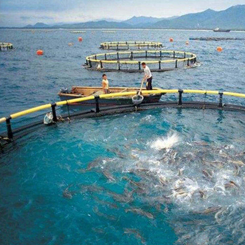 50m HDPE Fishing Cage Floating Fish Farming Cage in Deep Sea for Sea ...