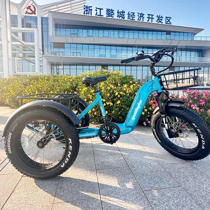 German Warehouse Fast Delivery 250w 3 Wheel Electric Trike with Front ...