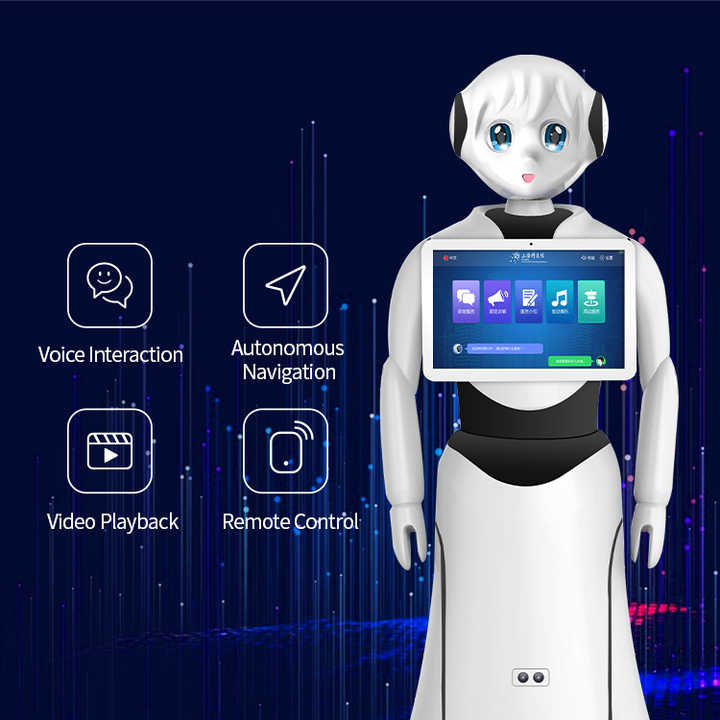 CSJBOT Automatic Screw Robot Humanoids Smart Intelligent Maid Wholesale