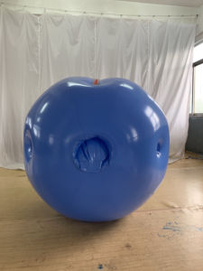 PVC Blueberry Inflation Suits - Fun & Customizable