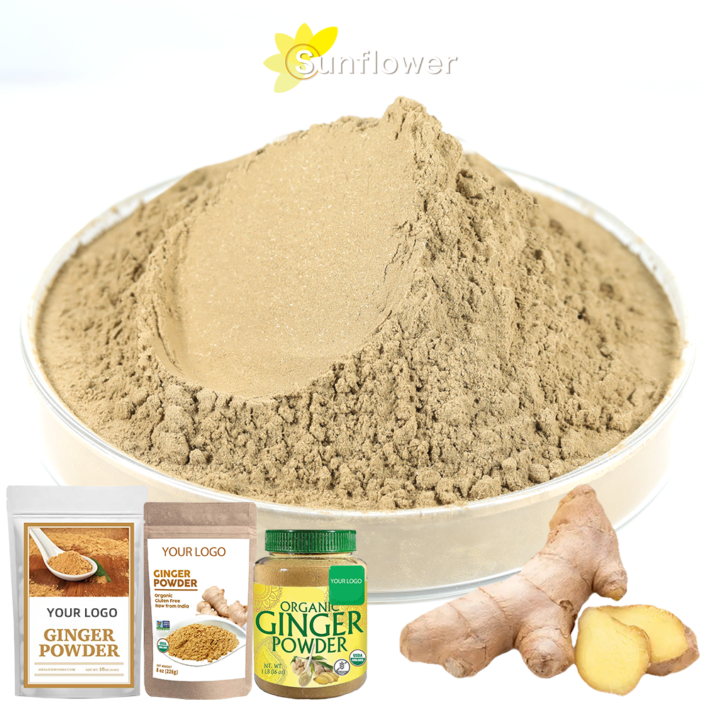 How to Choose the Best Ginger Powder Supplements: A Complete Buying Guide