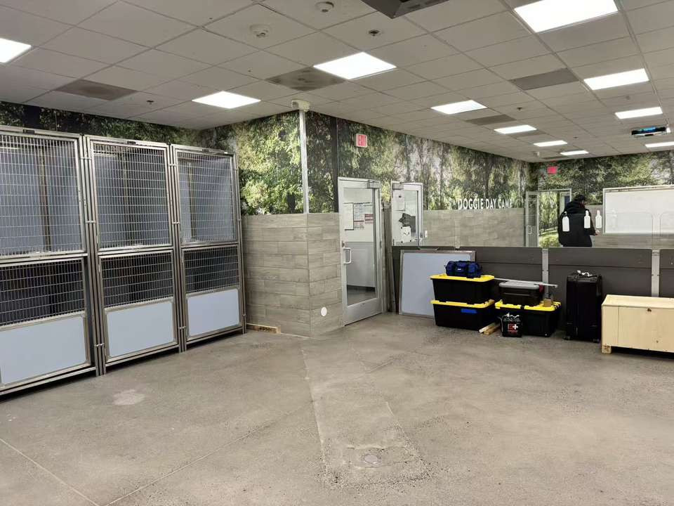 Glass Doors / HDPE Panels Kennel Run Dog Boarding Facility Modular ...