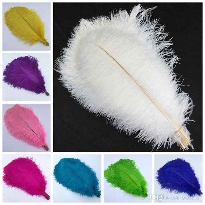 Nature 10-12 Inch/ 25-30 cm Ostrich Feathers for Crafts White Blacks ...