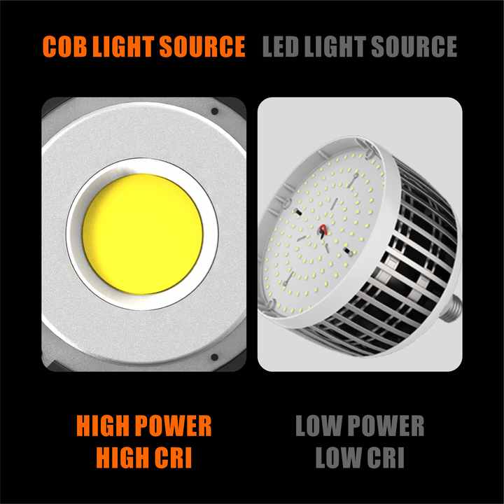 DENGWEI Dimmable LED COB Video Light for Continuous Lighting for ...