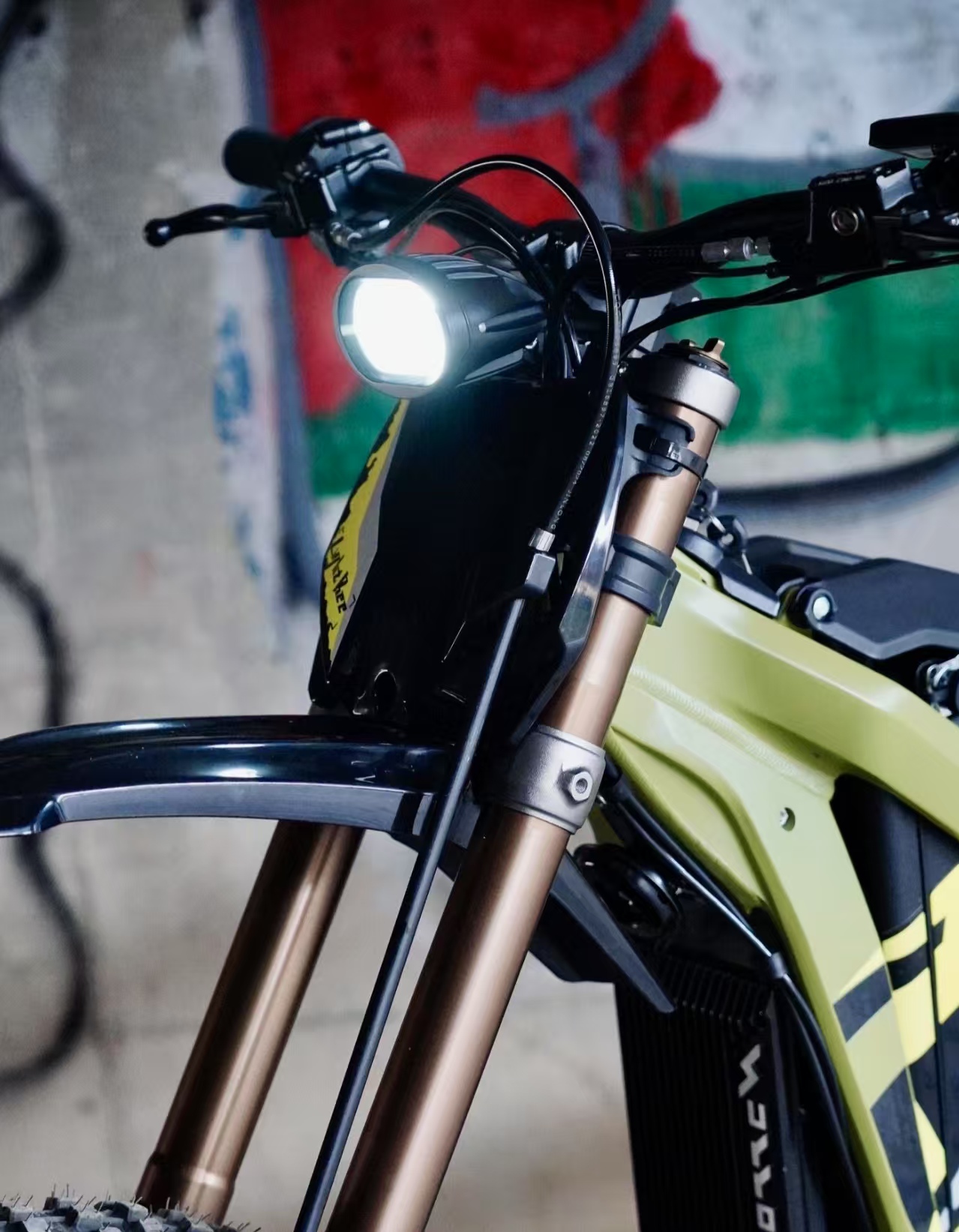 Powerful Performance: Experience Thrilling Rides with surron light bee ...
