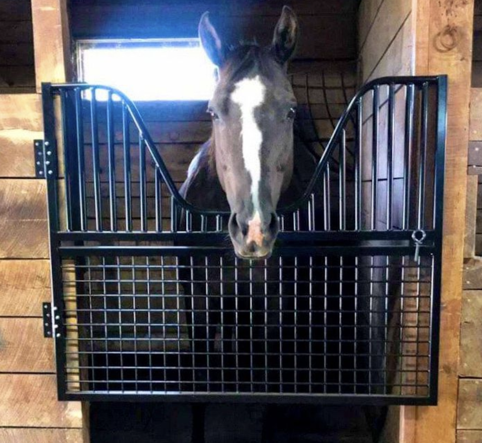 Wholesale Price Custom Slide Gate Horse Stable Metal Steel Welded Stall ...