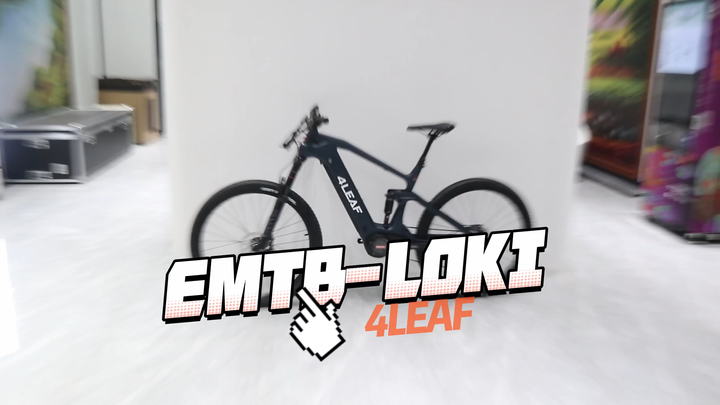 LOKI 29er MTB Electric Bike - 48V, 17.5ah Battery, 11 Speed
