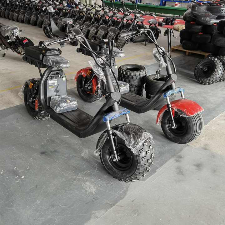 2800W Off Road Electric Scooter - Powered Electric Scooter