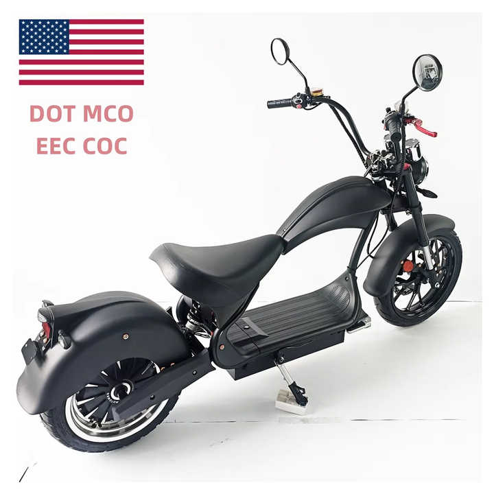 4000W Citycoco 75km/h High Speed USA DOT Electric Citycoco EU Stock EEC ...
