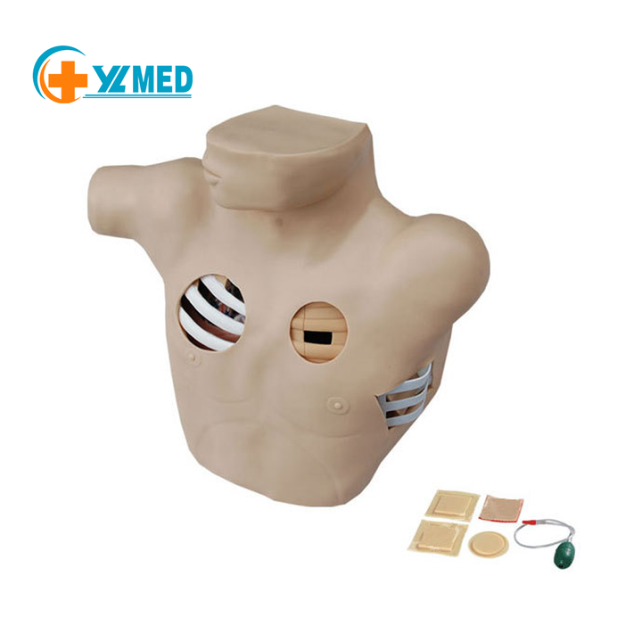 Nursing Dummy Simulator for Medical Chest Puncture Training