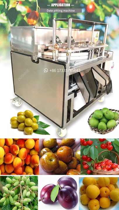 Lychee Peeling and Pitted Machine /best Sales Lychee Peeling Machine ...