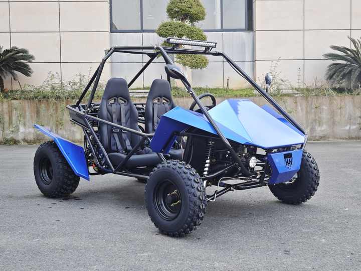 Kandi 200cc Racing Sand Buggy Off-Road Pedal Go Kart Chain Drive Oil ...