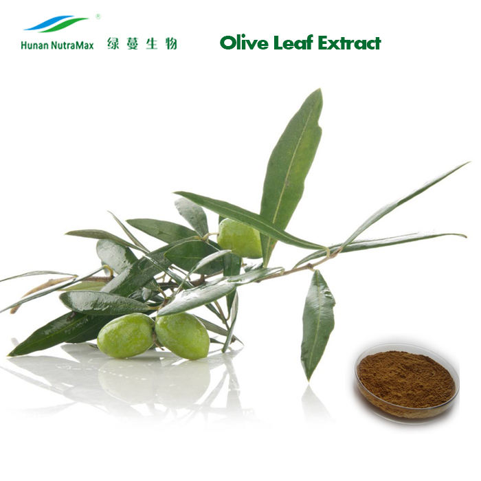 Food Grade Polyphenols 50% Olive Leaf Powder Natural Olive Fruit ...