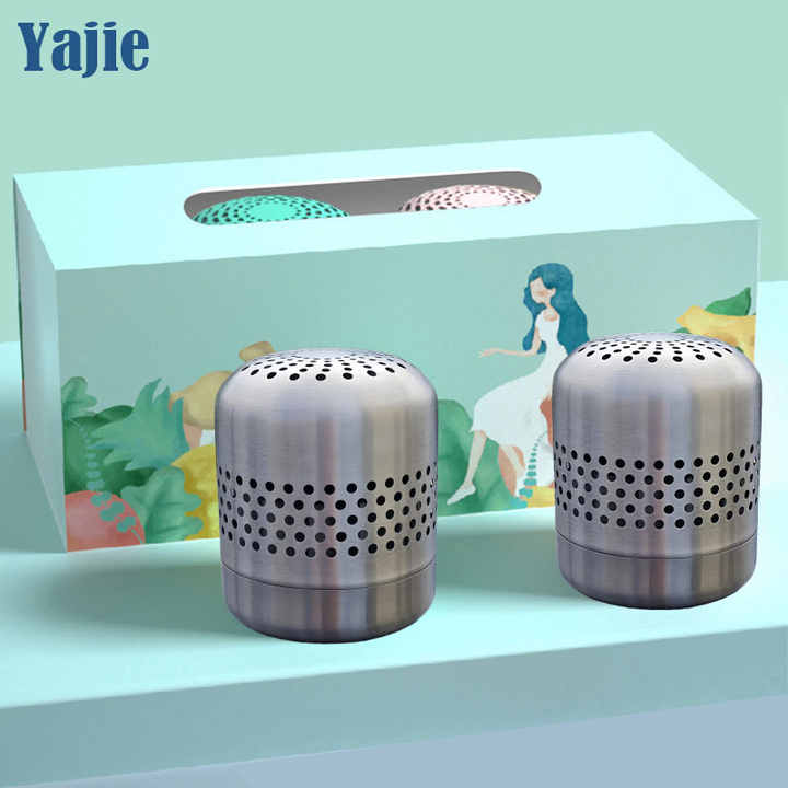 Portable Solid Stainless Steel Refrigerator Deodorizer