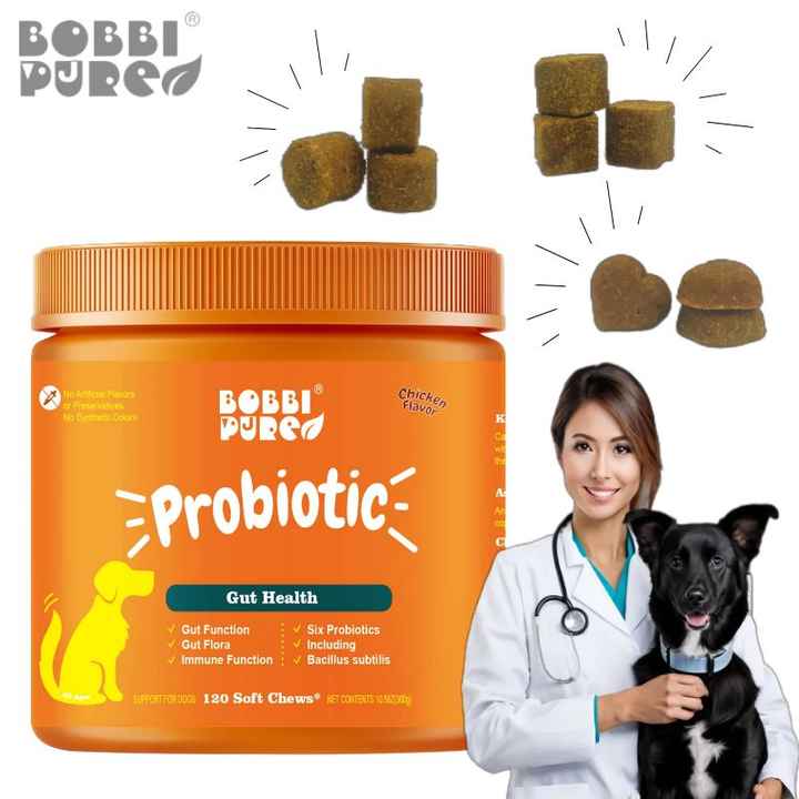 Probiotics for Dogs - Support Digestive Health & Immune System