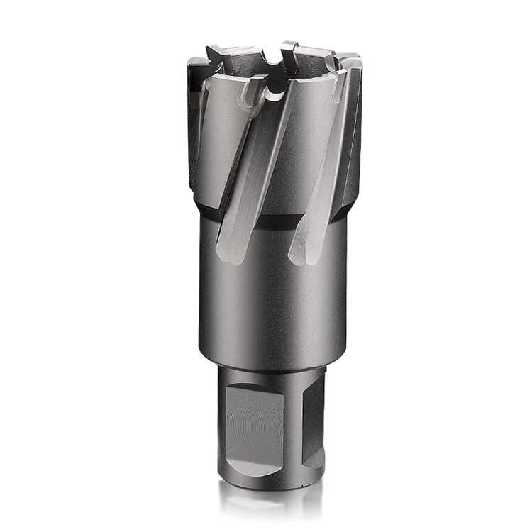 LOWENDORF TCT 35mm length D25 Annular Cutter for Metal Carbide Drill ...