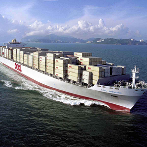 Shipment Tracking - International Real-Time Updates