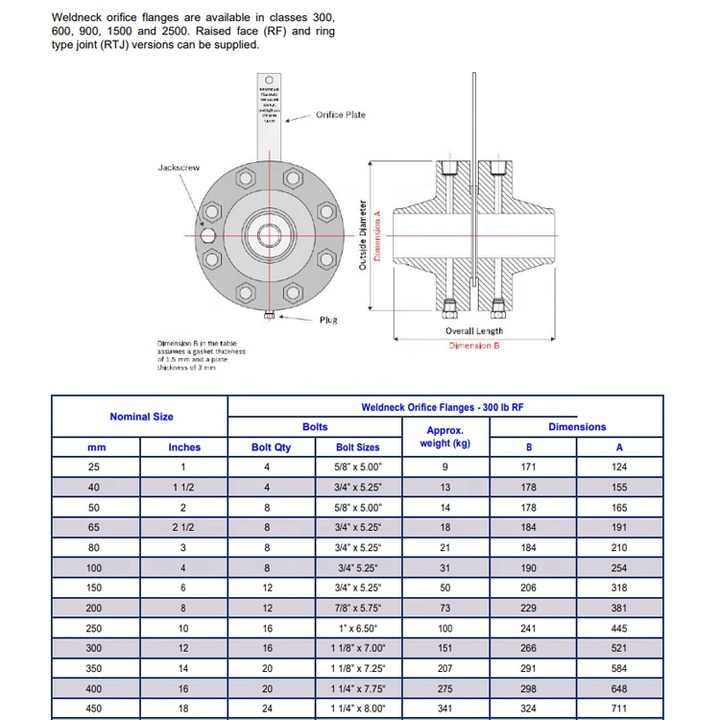 ASME B16.36 Orifice Flange - Customized Support for Pipelines