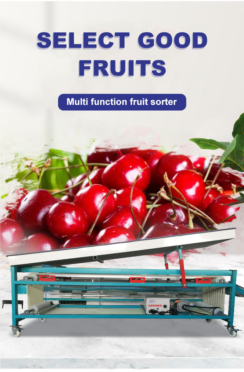 Hot Selling Customizable Grading Machine Automatic Apple Lemon Orange ...