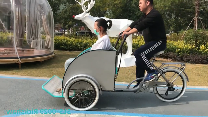 Electric Rickshaw - Backwards Riding Bike for Handicapped
