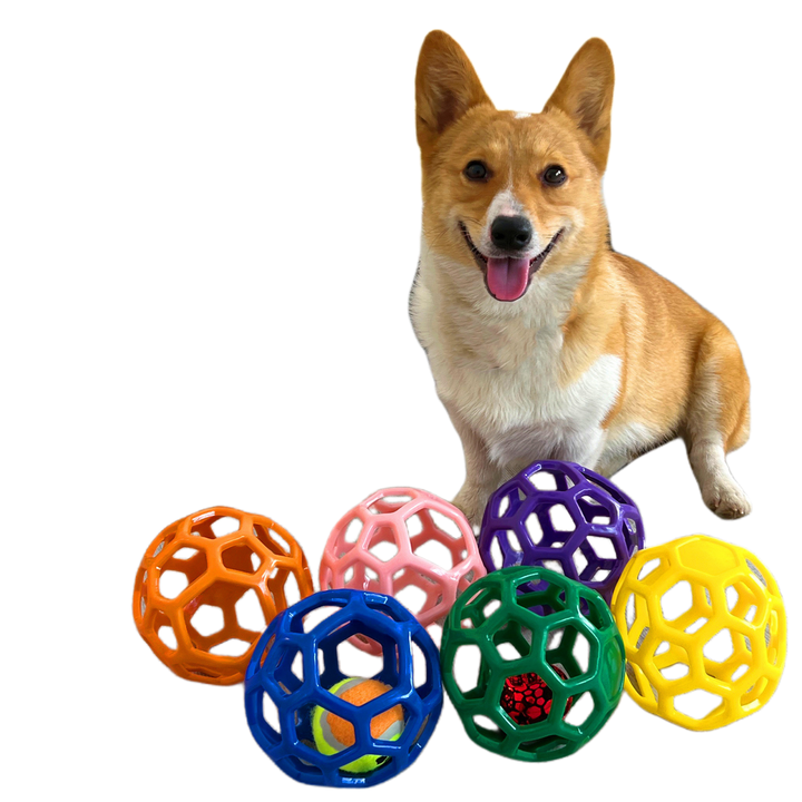Chew Teeth Non-Toxic TPR Rubber Ball with Bell for Dogs