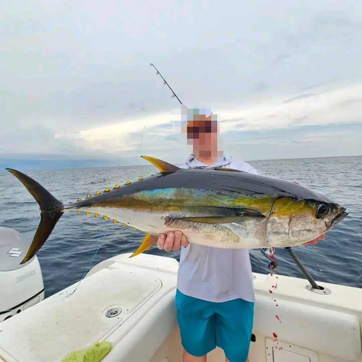 6/7/8 Inch Islander Saltwater Trolling Lures Wahoo Trolling Lures ...