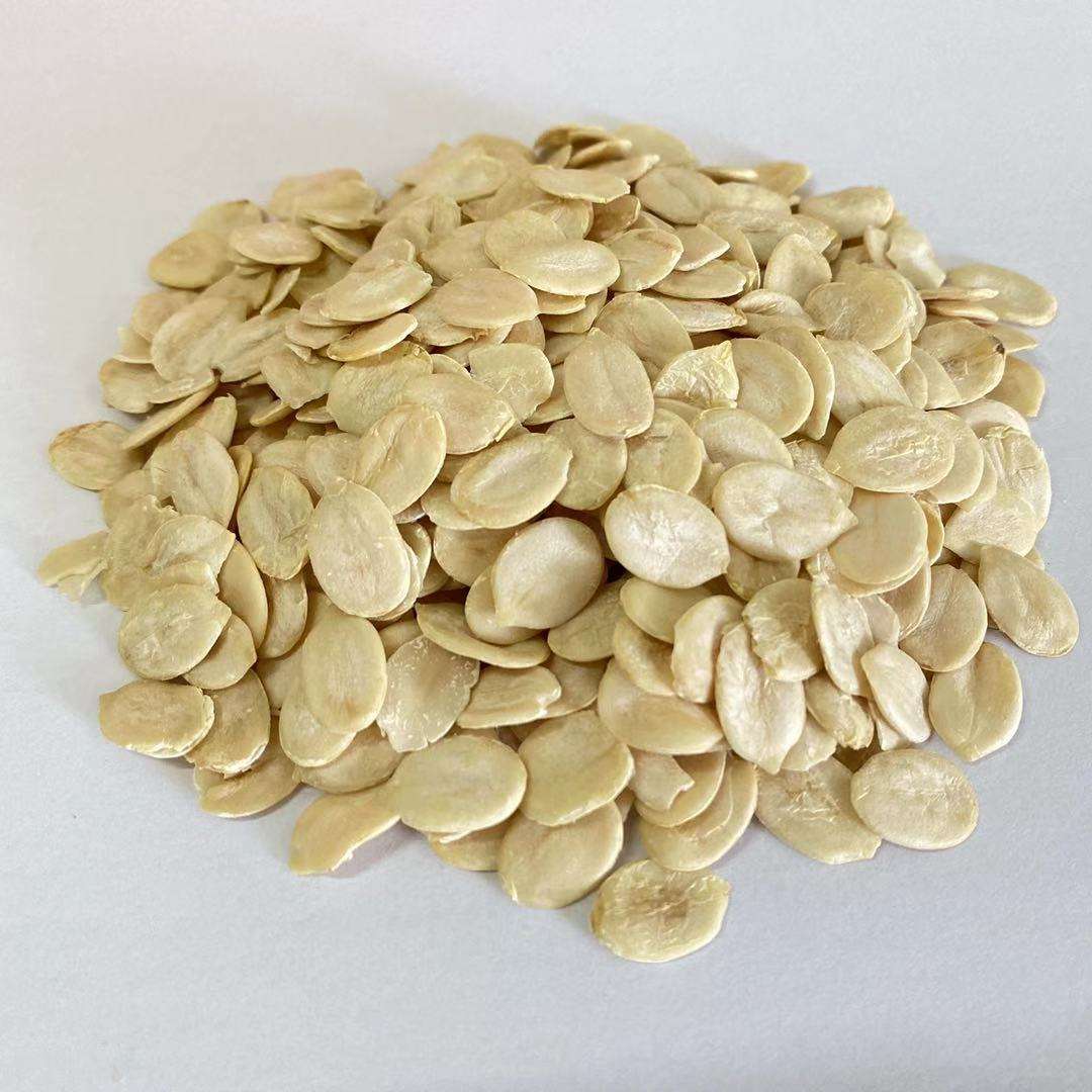 How to Choose Giant Vegetables Seeds: A Complete Buying Guide