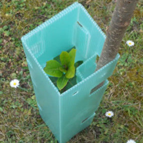 Square Polypropylene Corrugated Tree Guards for Planting Protection ...