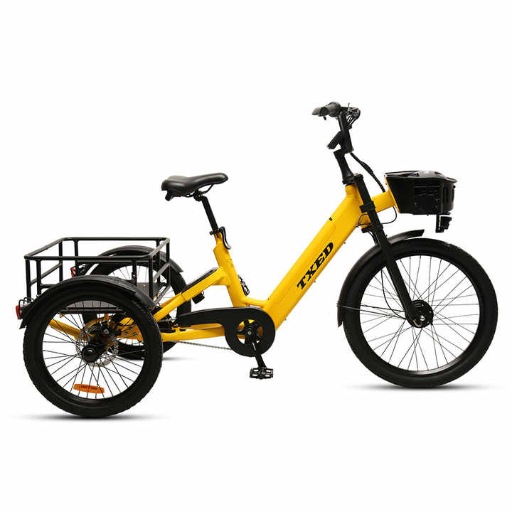 TXED 36V 250W Electric Sharing Cargo Bike Single Speed Electric Shared Tricycle for Adult ...