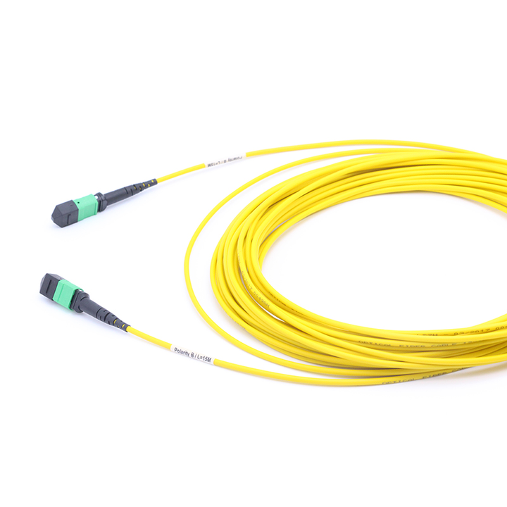 MPO/MTP-SM Single Mode Optical Fiber Patch Cord 12-Core 24-Core SC APC ...