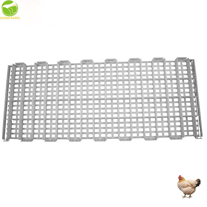 Durable Poultry Flooring System - Plastic Slat Floor for Chicken