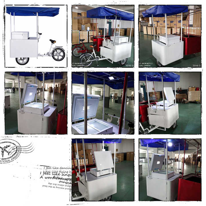 208L 12/24V Rechargeable Battery Powered DC Fridge Frozen Food ...